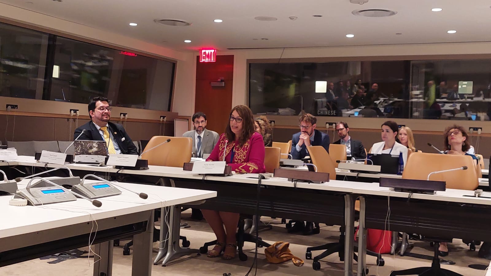 Participation of CILG-VNG International in UN General Assembly side ...